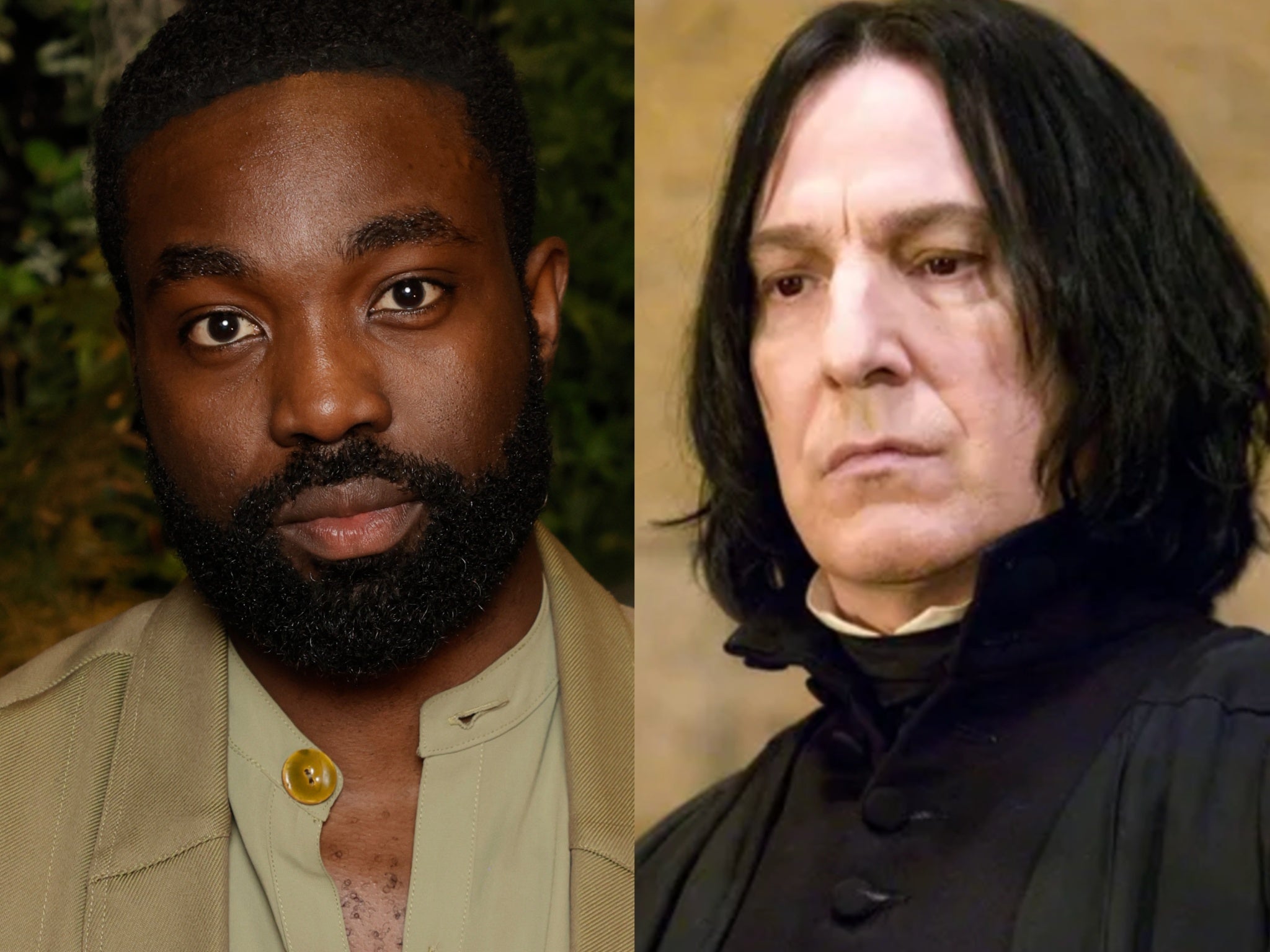 HBO has announced the cast for the upcoming Harry Potter adaptation, BUT the casting of Severus ...