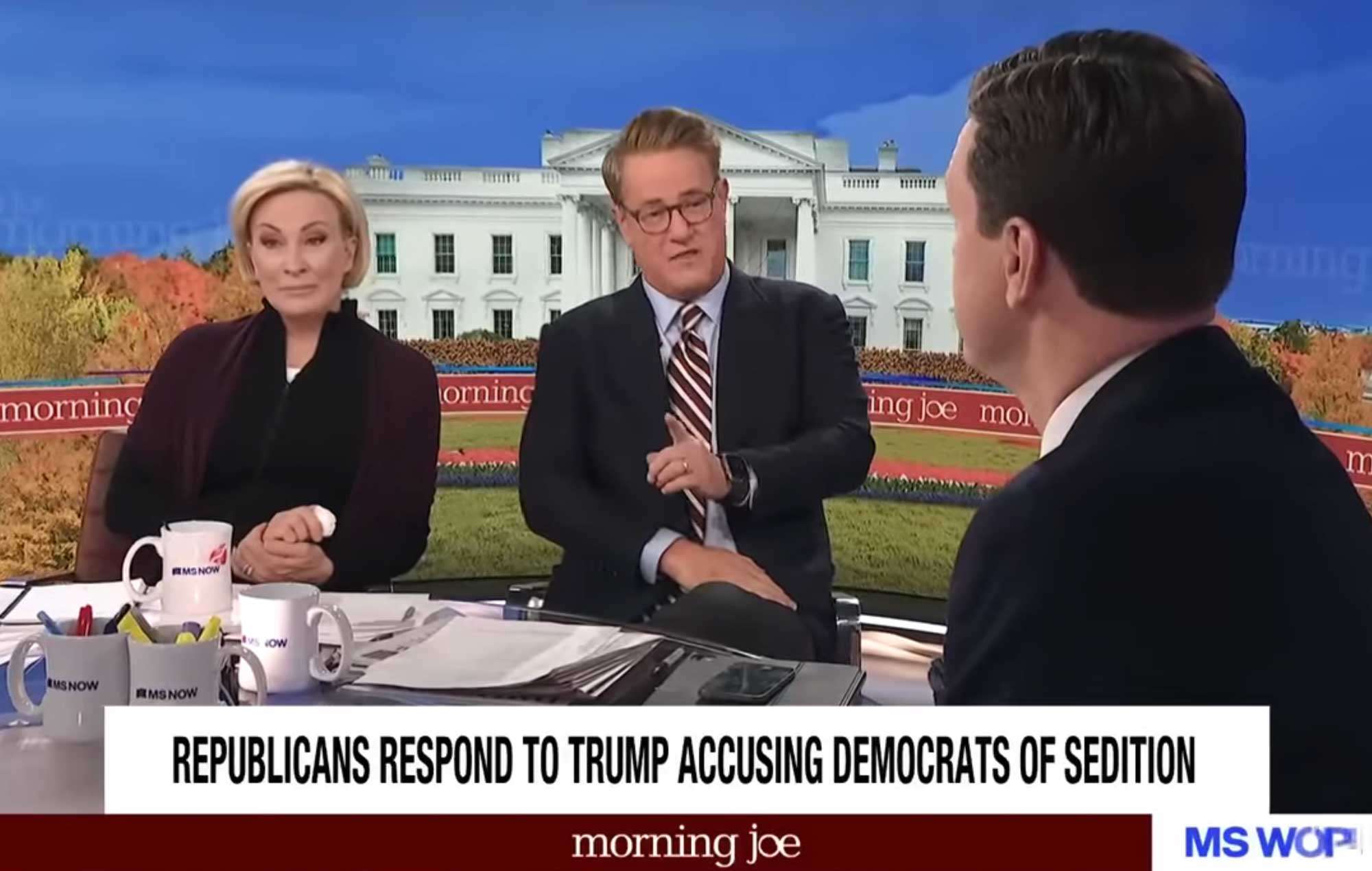 Joe Scarborough from MS NOW alleges that he possesses "eye-catching ...