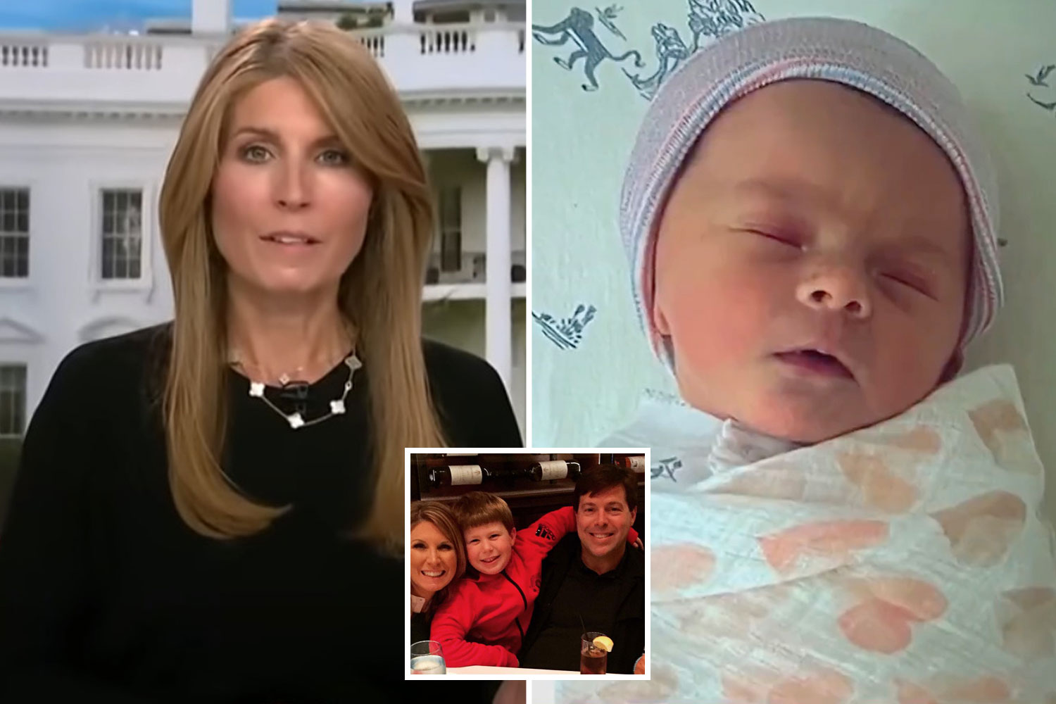 SURPRISE TWIST: MS NOW’s Nicolle Wallace left audiences shocked after ...