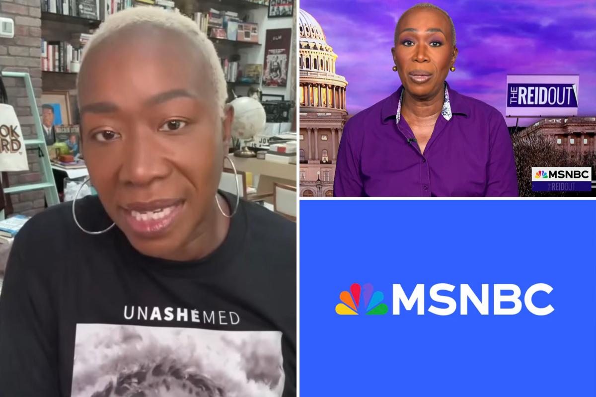 Joy Reid responds firmly to MS NOW executives after being put aside for ...